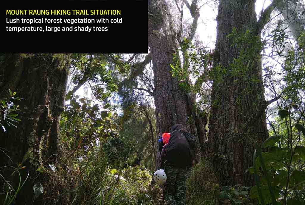 Mt. Raung hiking information via Kalibaru Jember - Melampa Indonesia
